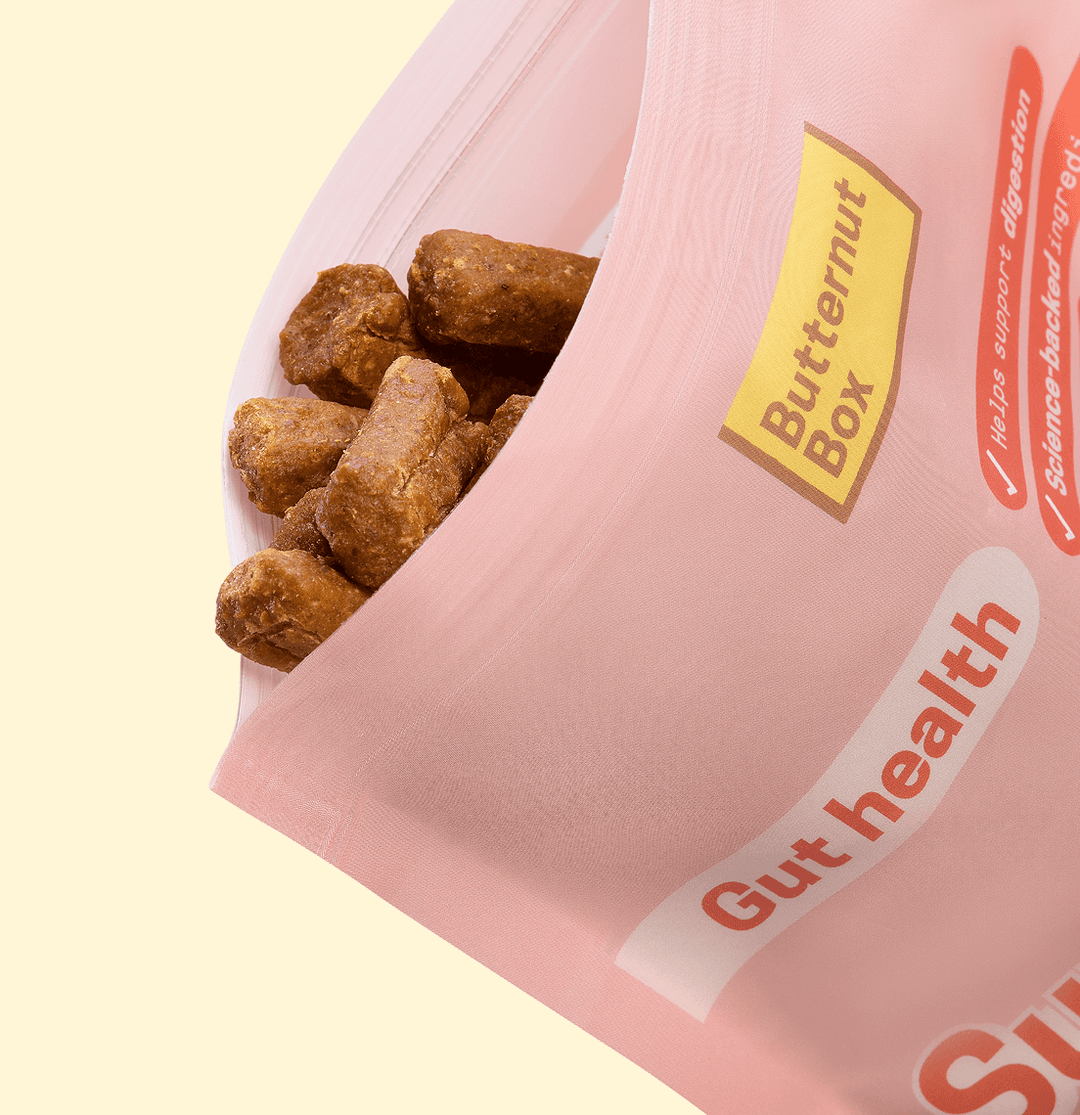 Our Fresh Dog Food | Butternut Box
